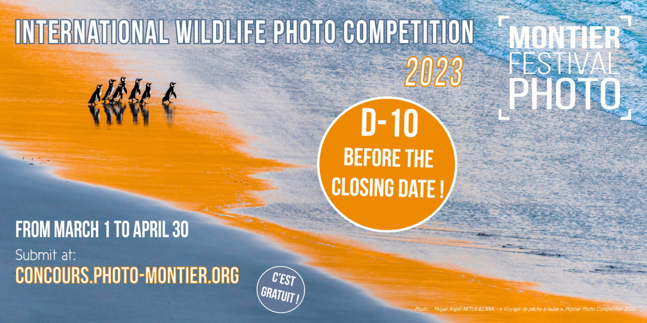 International Wildlife and Nature Photo Festival – Montier Photo Festival