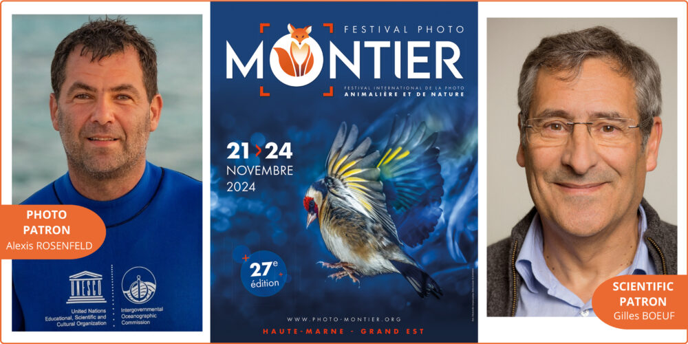 International Wildlife and Nature Photo Festival – Montier Photo Festival