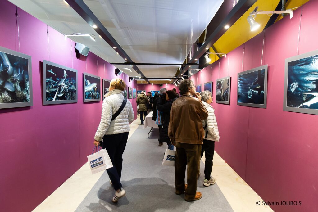 Festival international de la Photo Animalière et de Nature de Montier ...
